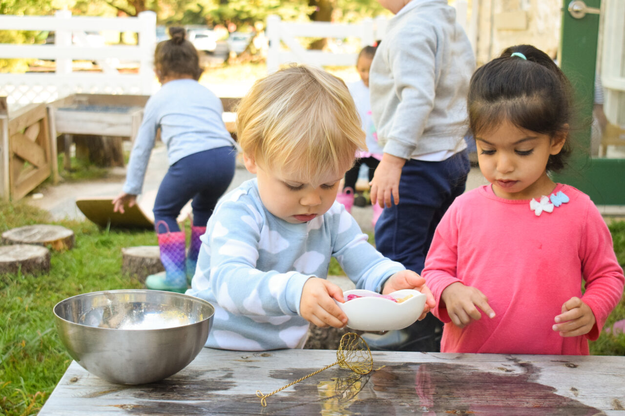 Learning in the Outdoor Montessori Classroom - Greenspring Montessori ...