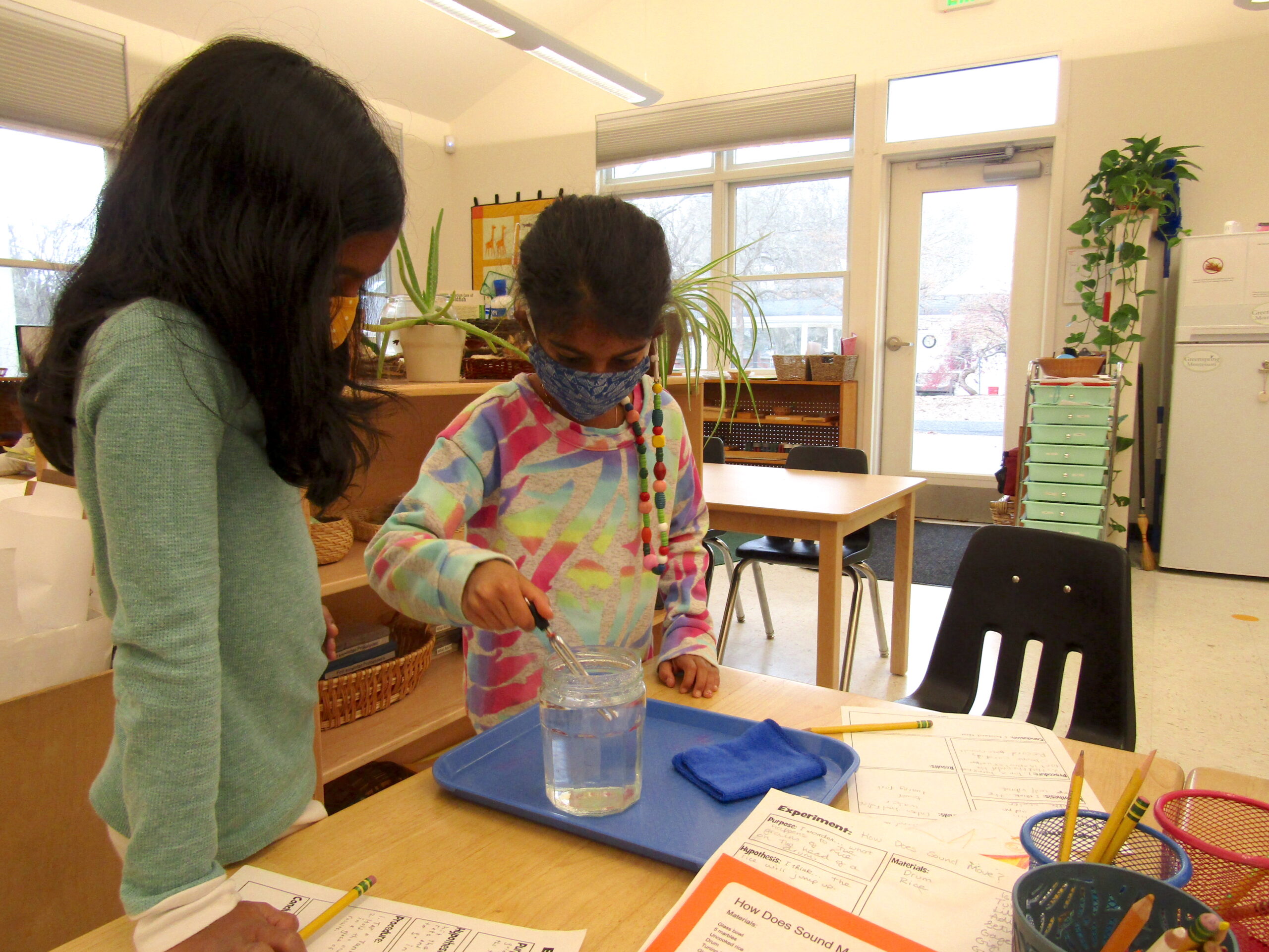 Science Experiments in the Elementary Classroom - Greenspring ...