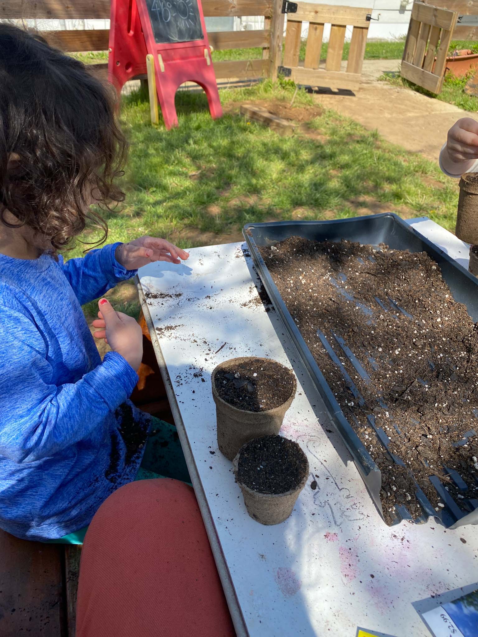 Nature Education in our Classrooms - Greenspring Montessori School