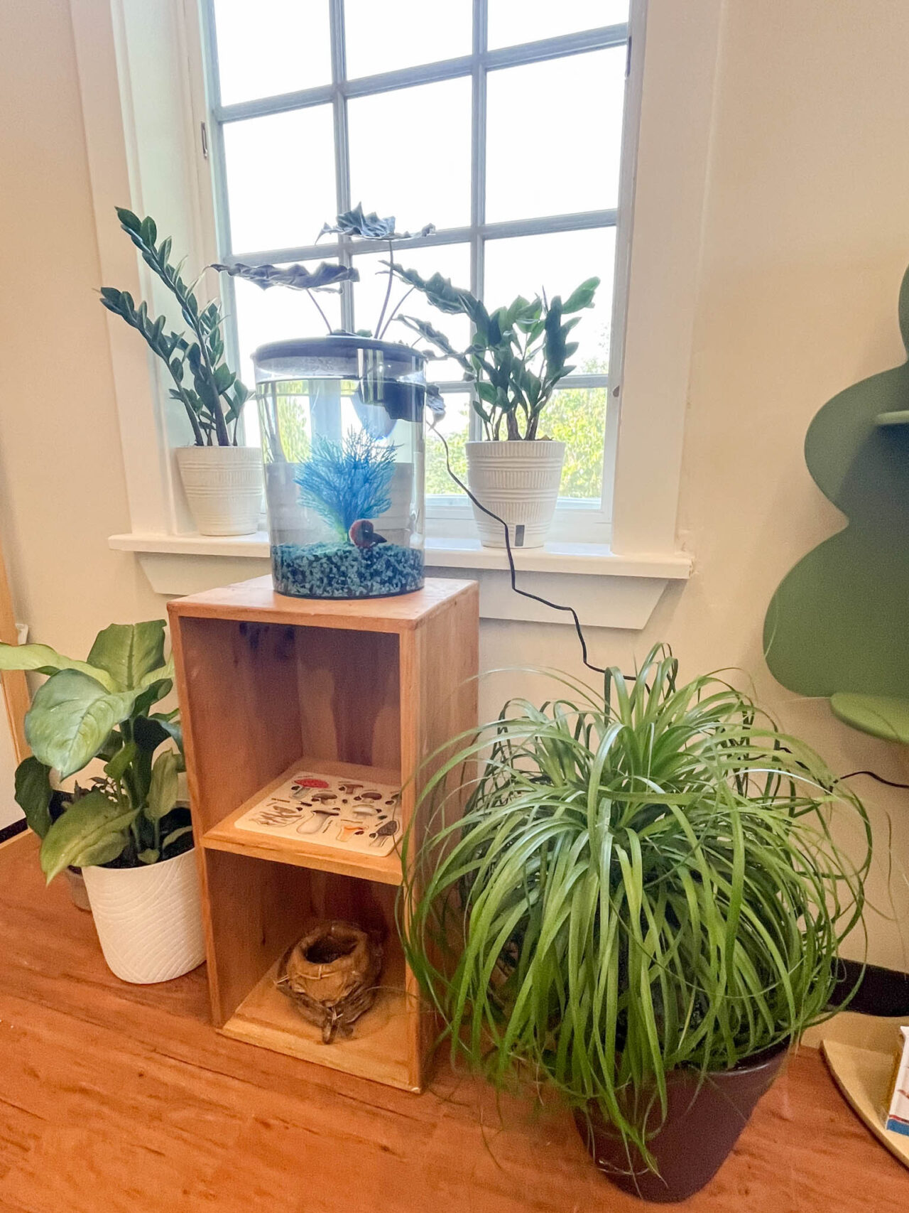 Grand Opening of our new Montessori Nature Center - Greenspring ...