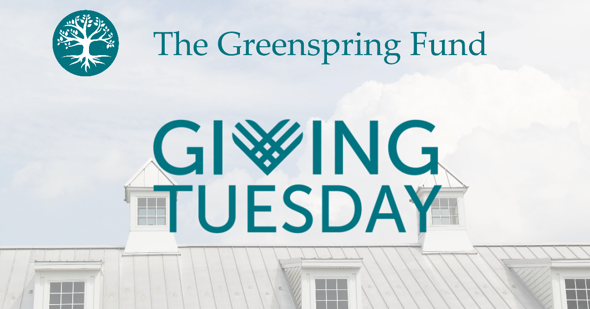 Donate Now - Greenspring Montessori School